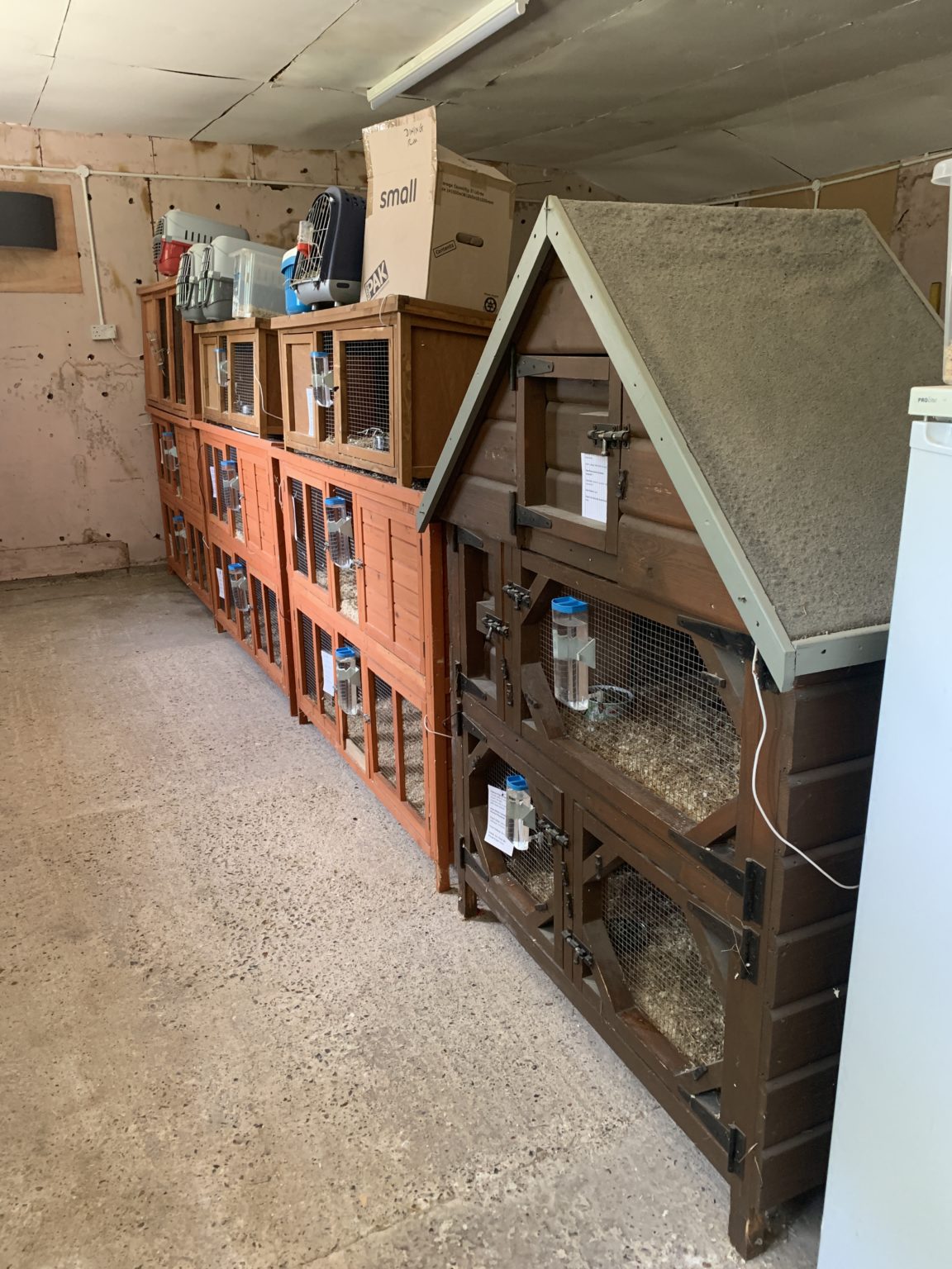 Guinea Pig Hotel Accommodation - Guinea Pig Hotel