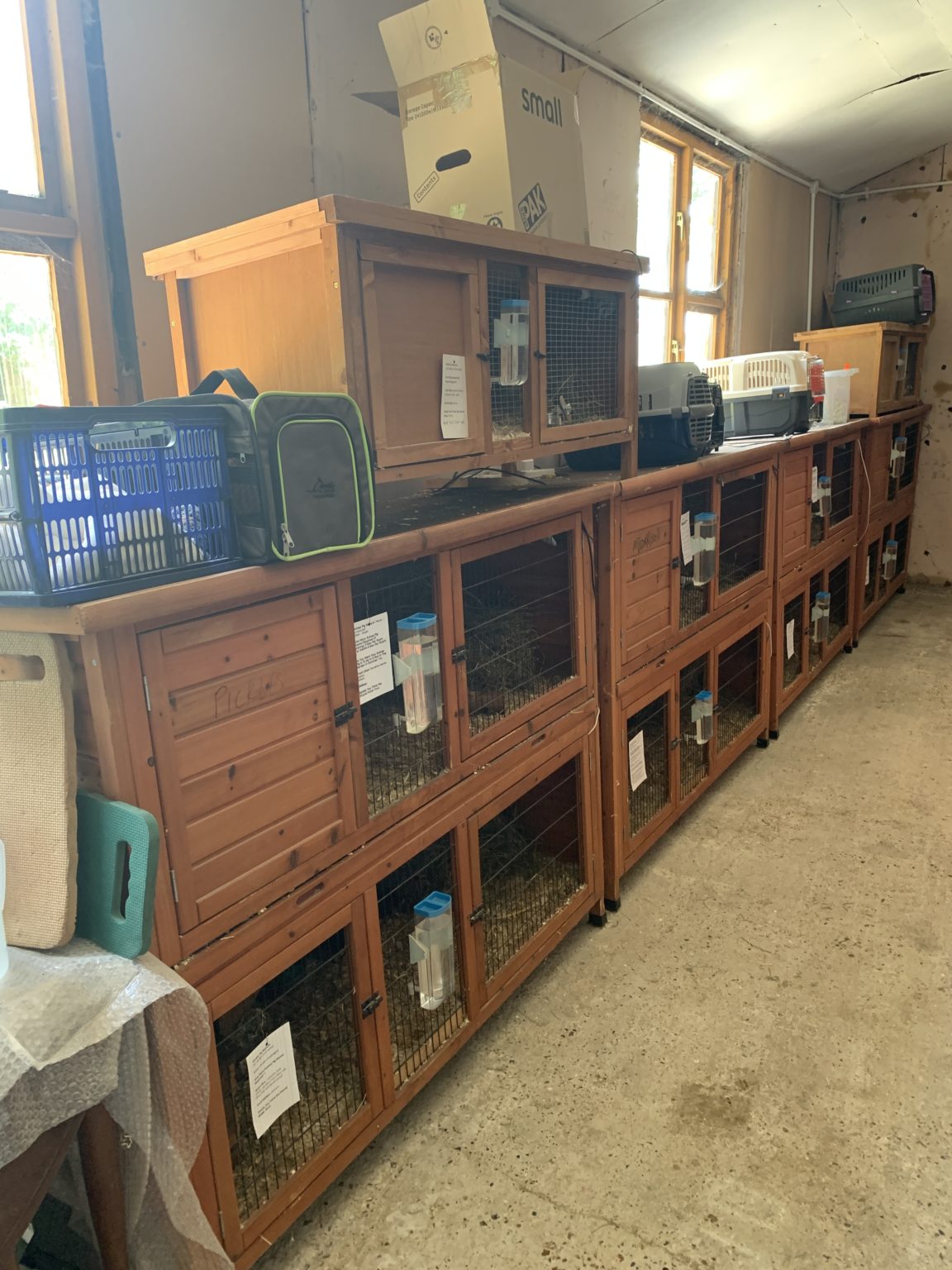 Guinea Pig Hotel Accommodation - Guinea Pig Hotel